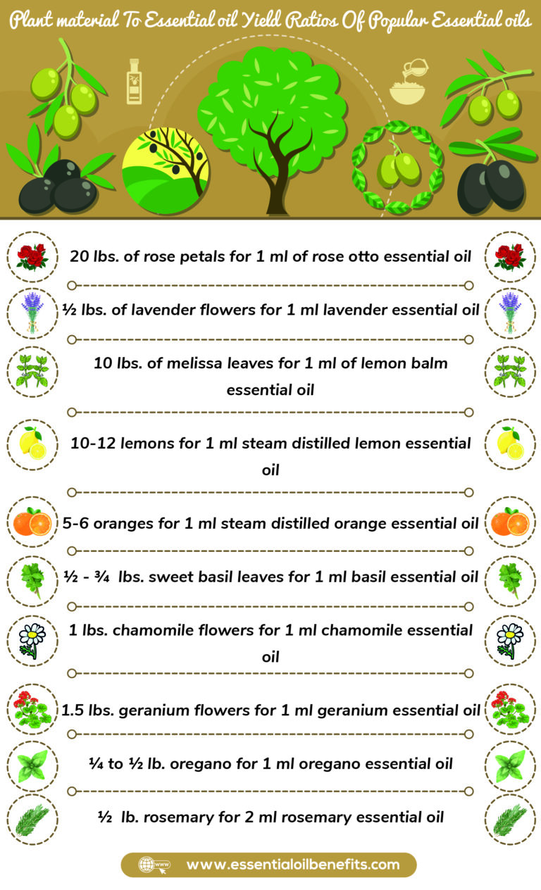 How to Make Essential Oils? | Essential Oil Benefits