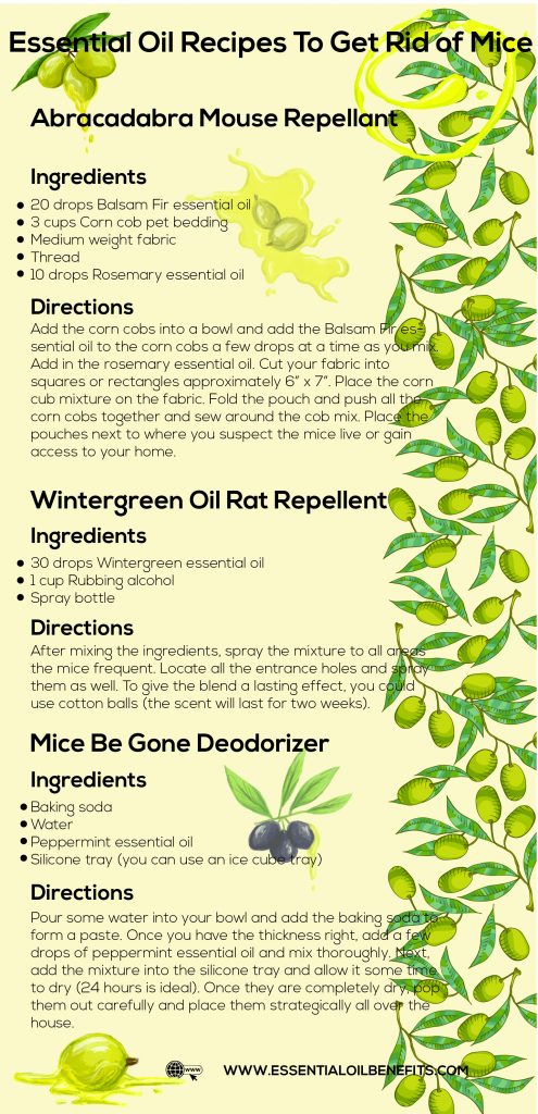 Best Ways To Get Rid Of Mice Naturally Using Essential Oils | Essential ...