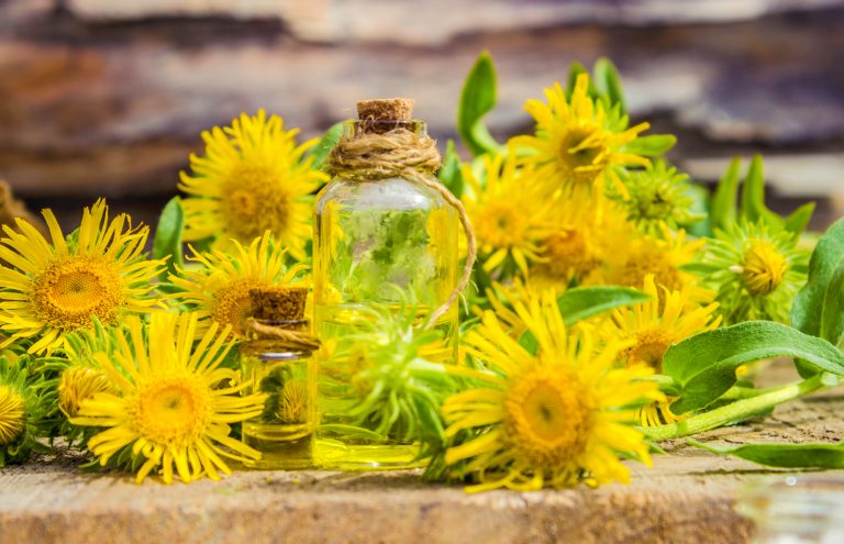 What Are The Most Expensive Essential Oils | Essential Oil Benefits