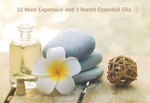 What Are The Most Expensive Essential Oils | Essential Oil Benefits