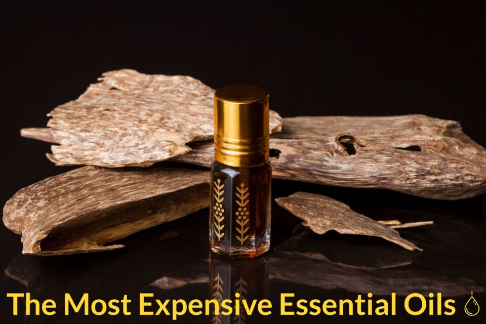 What Are The Most Expensive Essential Oils | Essential Oil Benefits