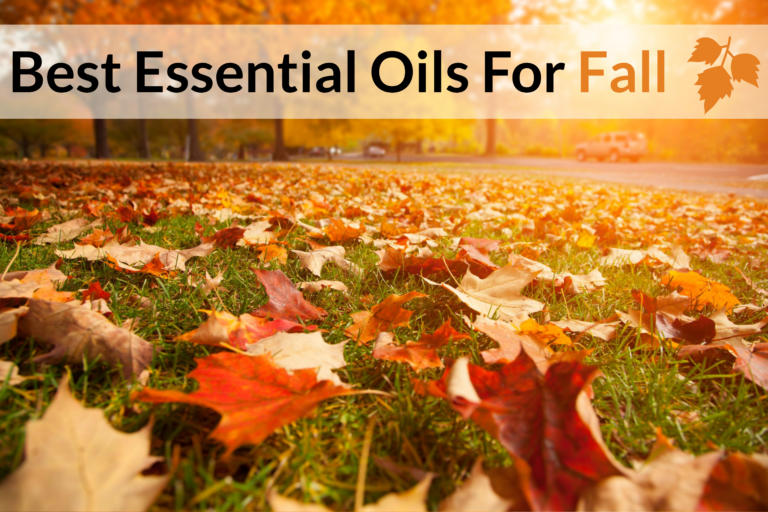 Best Essential Oils For Fall And 30 Tried And Tested Autumn-Special ...