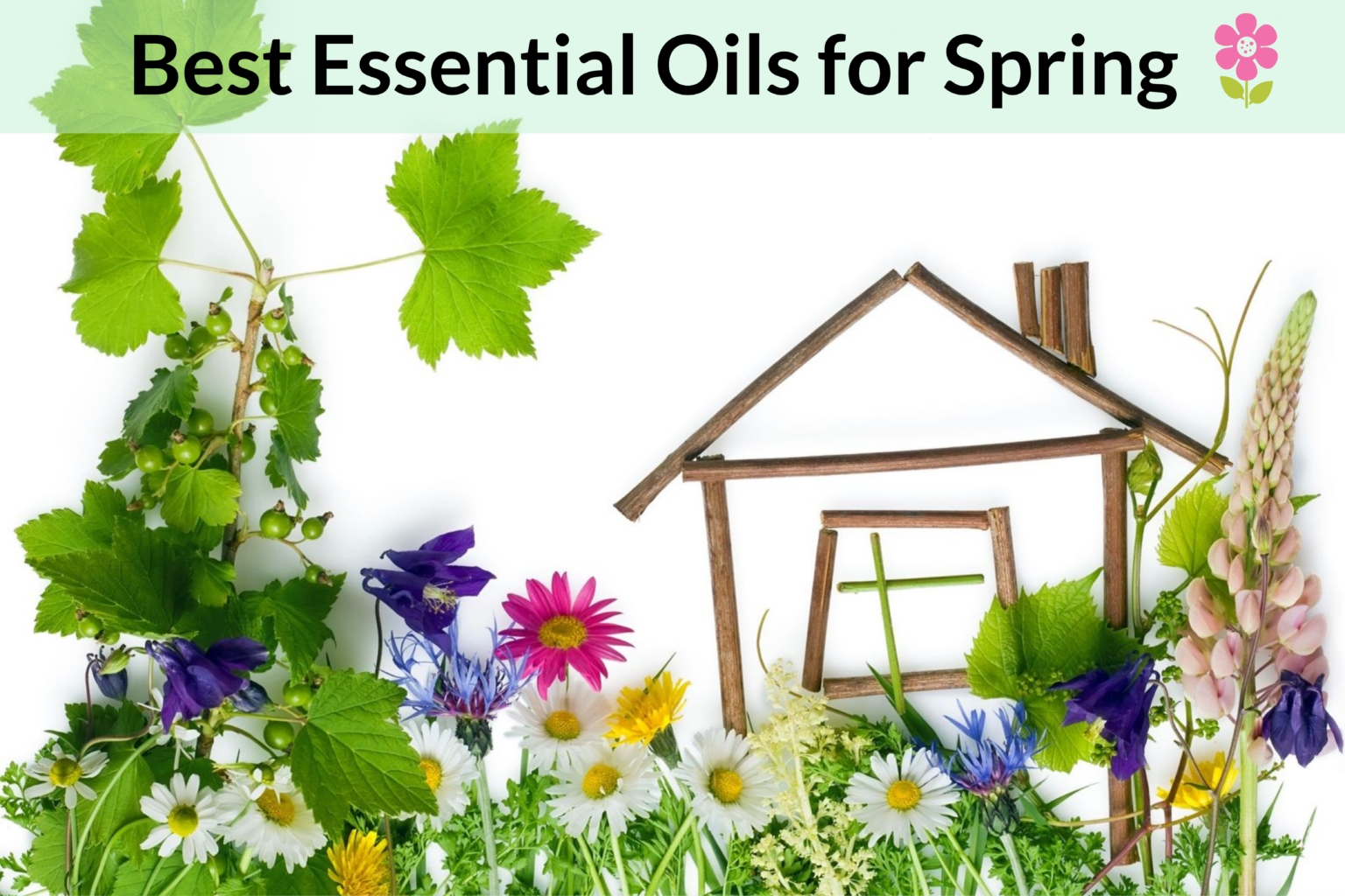 Best Essential Oils for Spring | Essential Oil Benefits