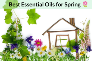 Best Essential Oils for Spring | Essential Oil Benefits