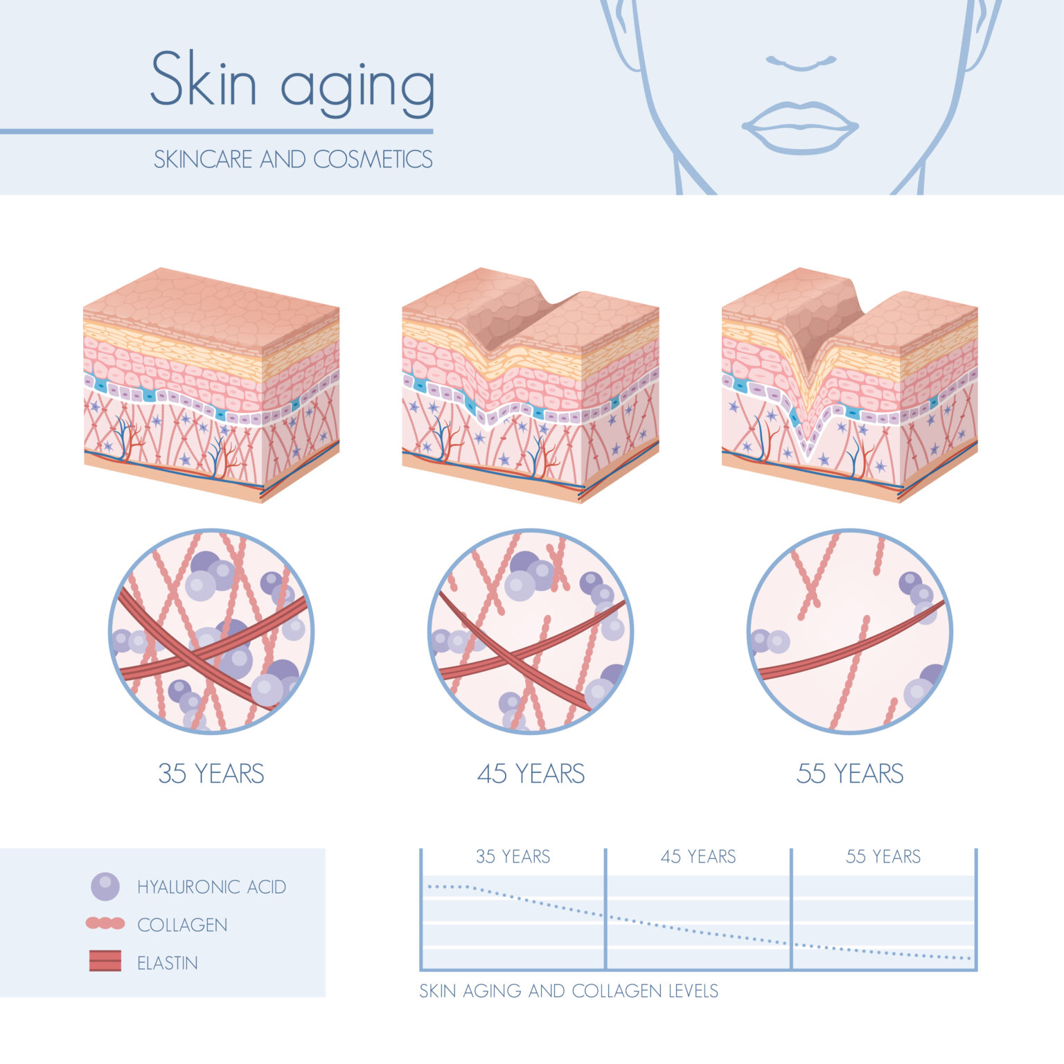 All You Wanted To Know About Anti-Aging Skincare! | Essential Oil Benefits All You Wanted To Know About Anti-Aging Skincare! | Essential Oil Benefits